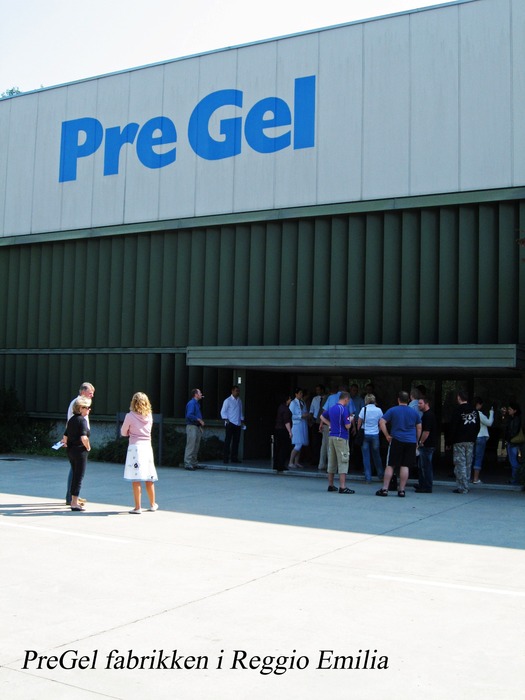 Reggio Emilia - Is & Kaker PreGel :: David Sponheim
