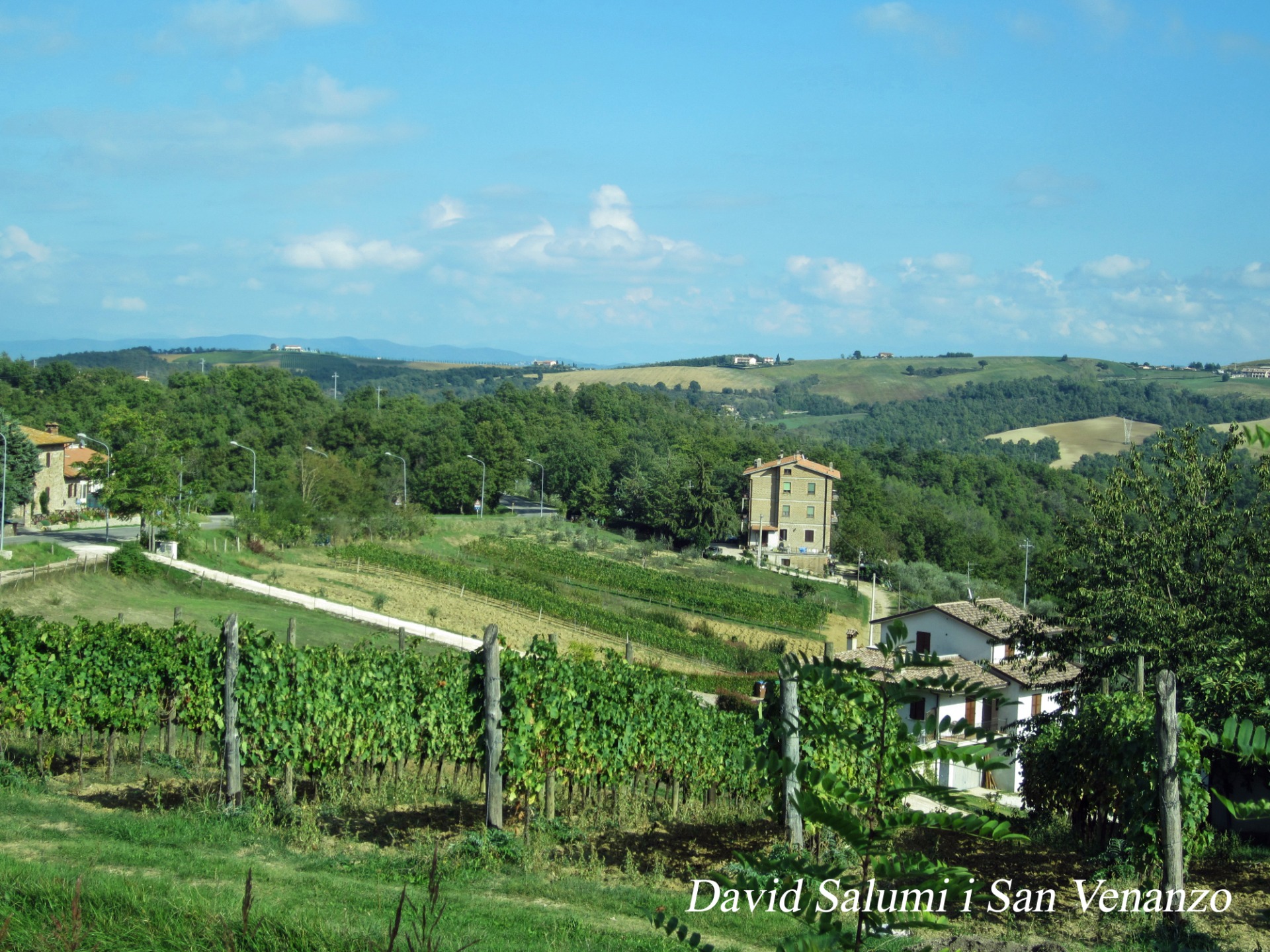 San Venanzo - Pølsemaker - David Salumi :: David Sponheim